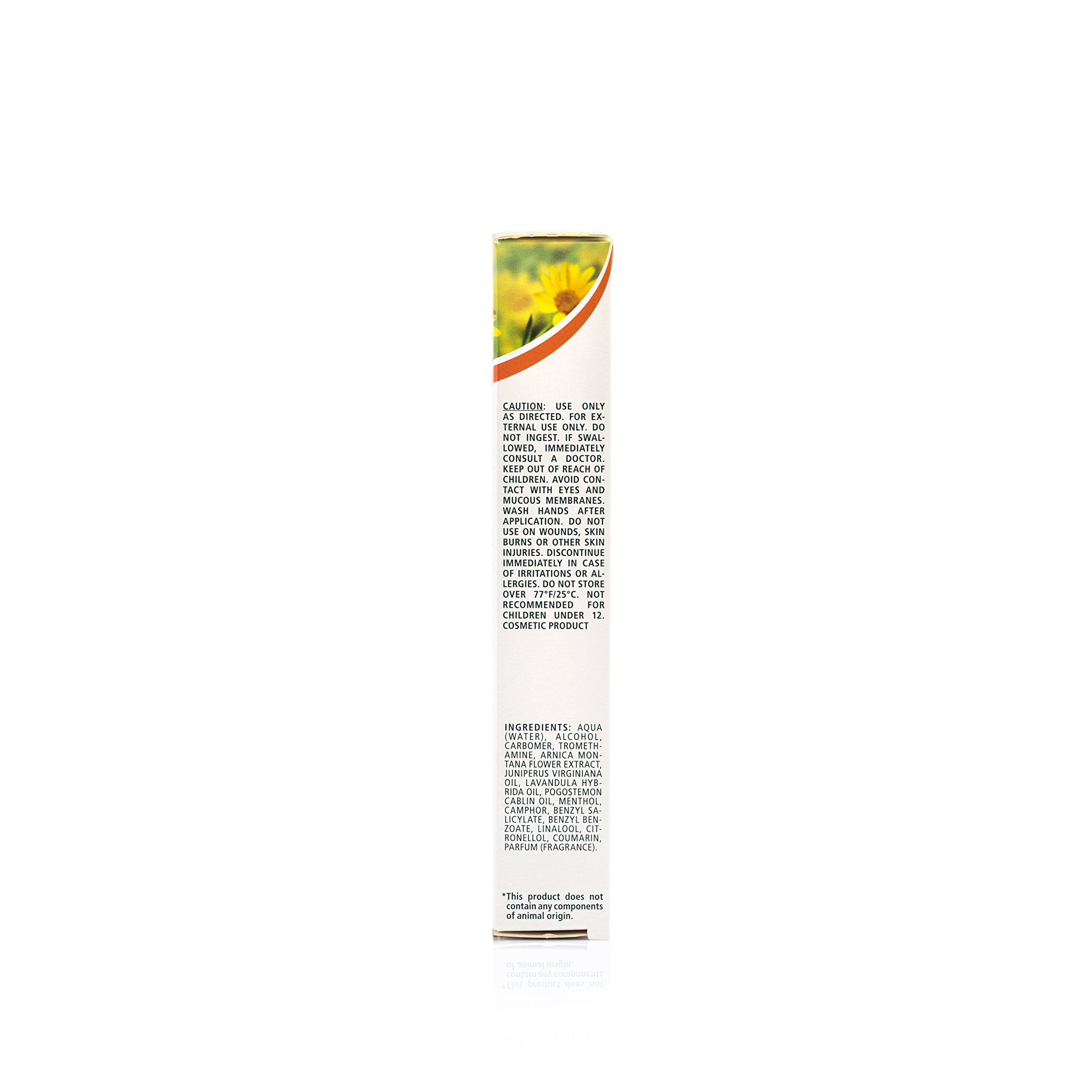 Snapklik.com : Kneipp Arnica Joint & Muscle Cooling Gel