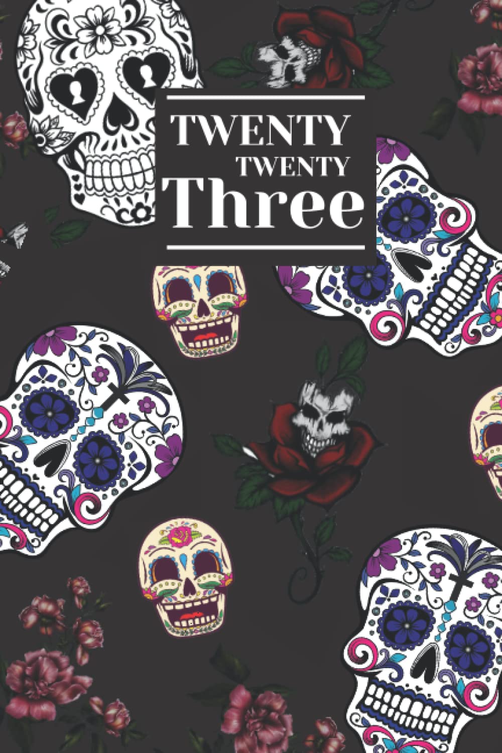 2023 Twenty Twenty Three: Diary Day to Page (6x9) Full Day to View ...