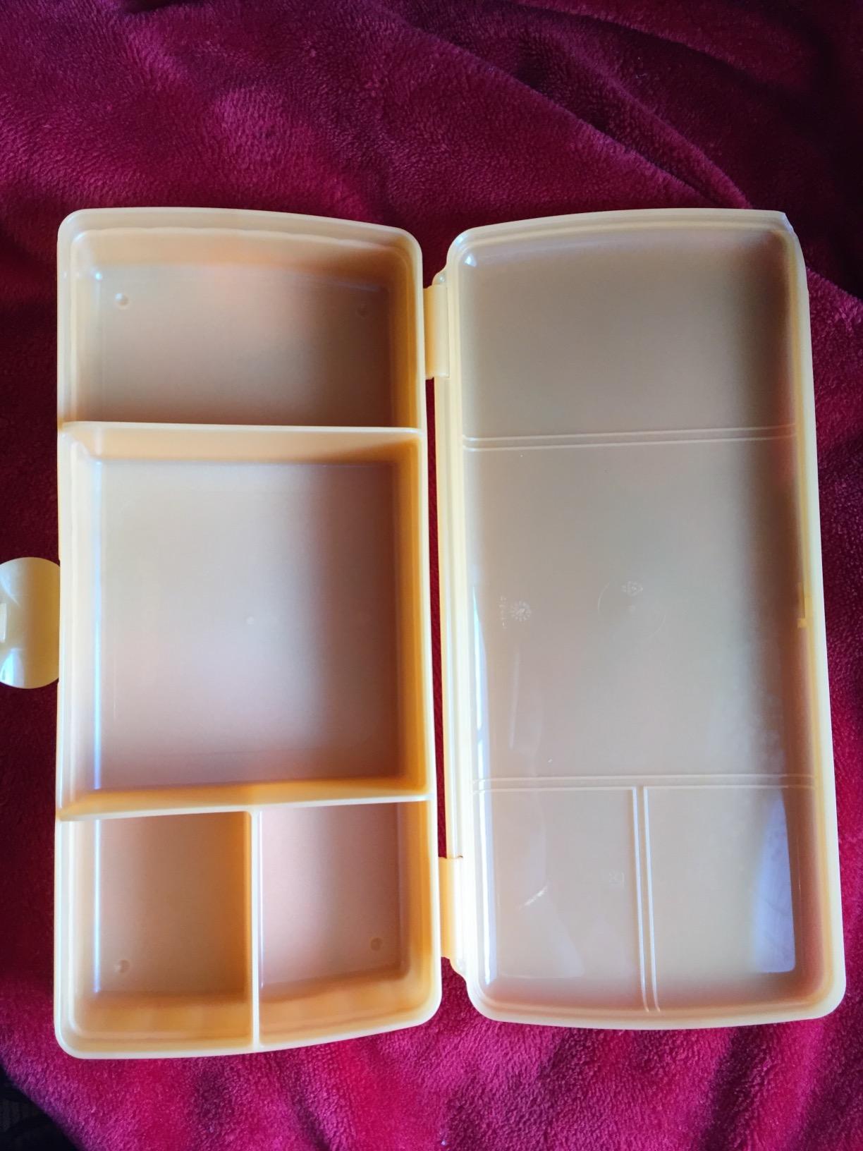 Buy Tupperware Plastic Container, 1 Litre, Multicolour Online at Low ...