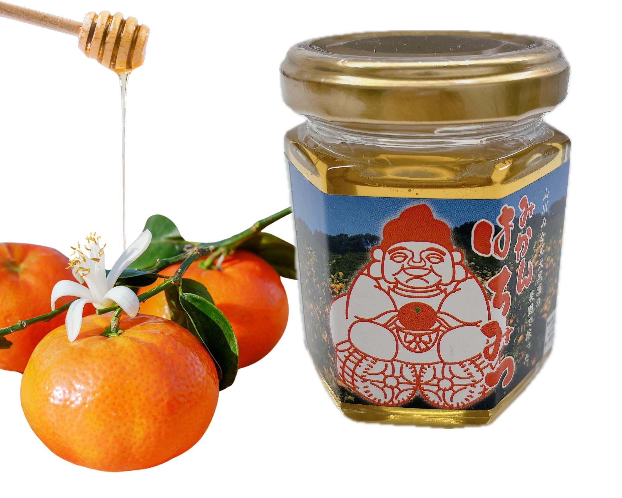 Amazon.com : Yamakawa Mikan Japanese Mandarin Blossom Honey, 4.23oz ...