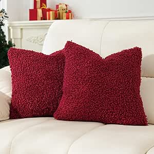 Amazon.com: AMZWISE Pillow Covers Decorative Curly Teddy Wool 20X20 ...