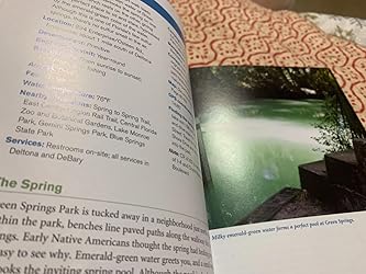 Touring the Springs of Florida: A Guide to the State's Best Springs ...