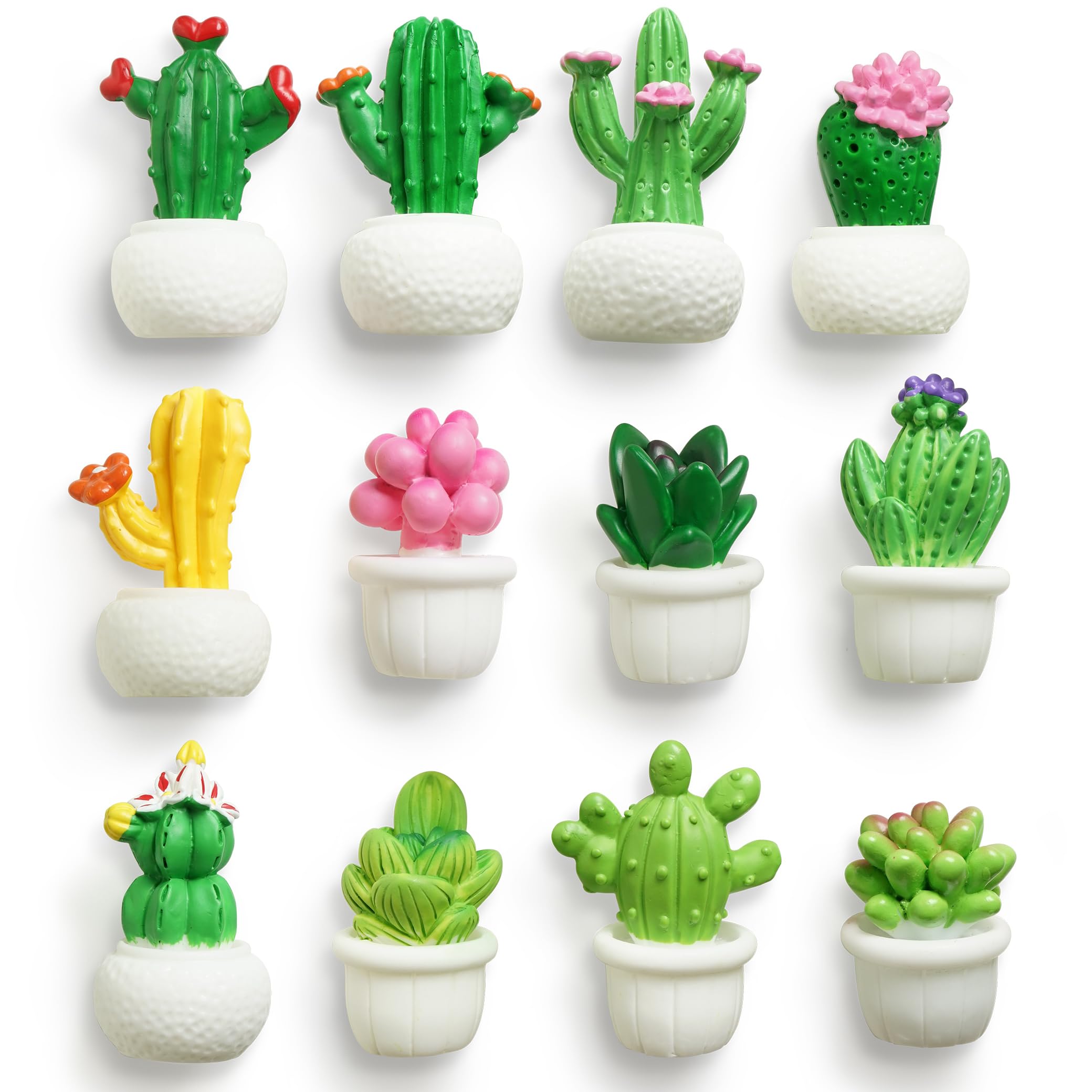 Amazon.com: Zreal 12 PCS Cactus Fridge Magnets Cute Refrigerator ...