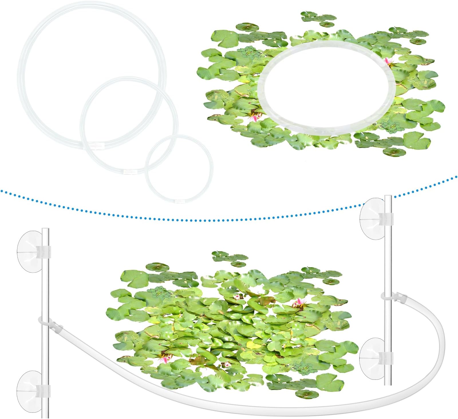 Amazon.com: Aquarium Floating Plant Corral with Fish Feeding Ring ...