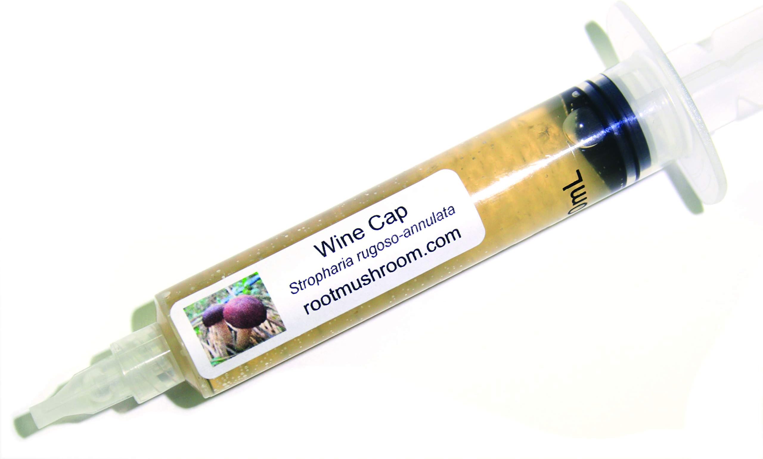 Amazon.com: Mycology Men Premium Mushroom Liquid Culture | Lion's Mane ...
