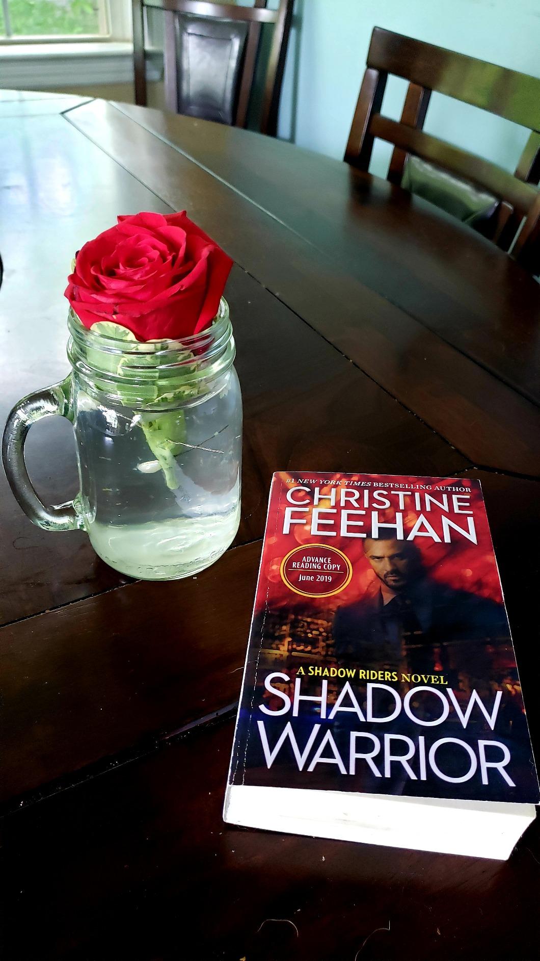 Shadow Warrior (A Shadow Riders Novel): Feehan, Christine ...