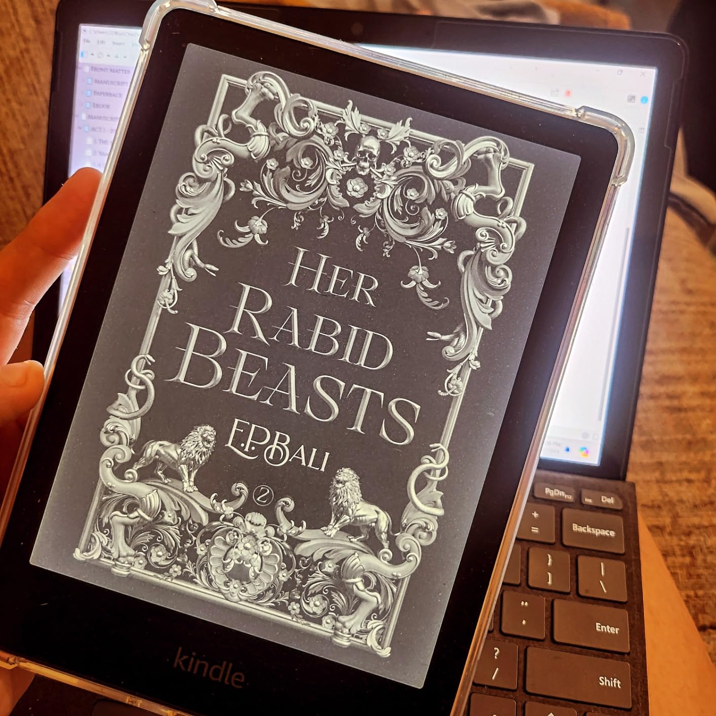 Her Rabid Beasts (Her Vicious Beasts Book 2) eBook : Bali, E.P.: Amazon ...