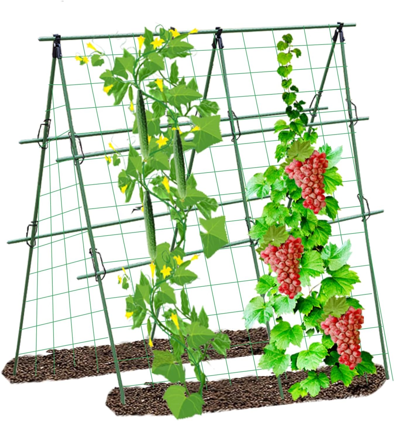 Amazon.com : 64 x 64 Inch Garden Cucumber Trellis Vegetable Arch ...