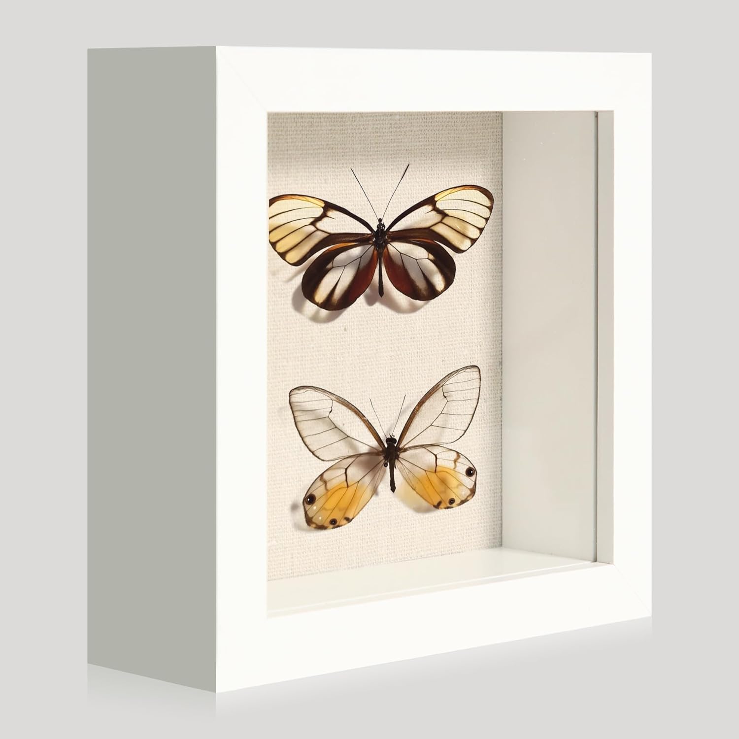 Amazon.com - CCDCC 5x5 Small Shadow Box Picture Frame Display Case with ...