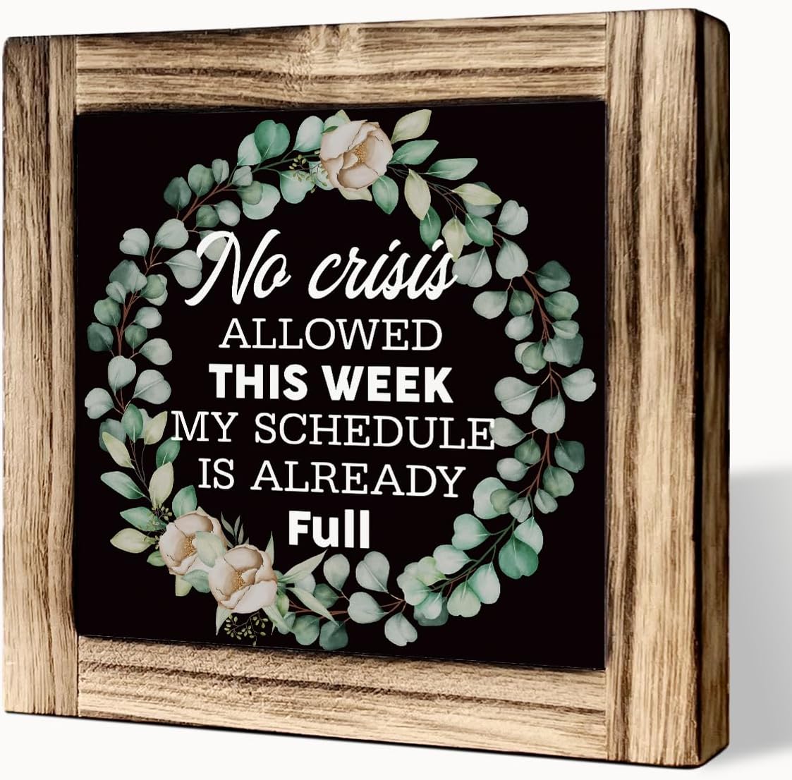 Amazon.com: No Crisis Allowed This Week - My Schedule is Already Full ...