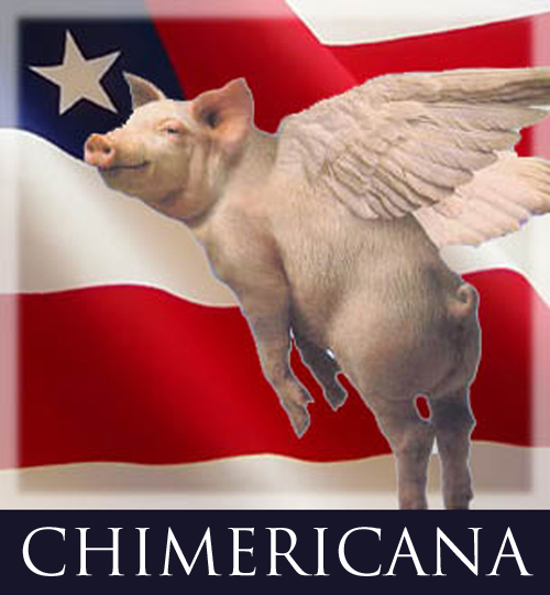 Amazon.co.uk: Mike Philbin: books, biography, latest update