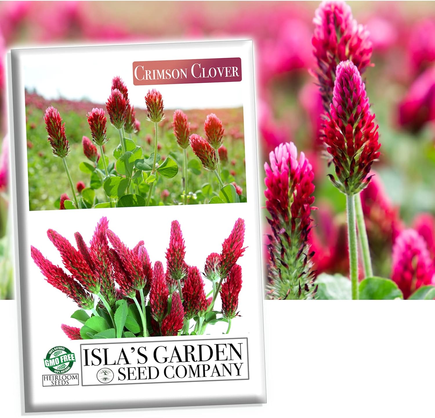 Amazon.com : Crimson Clover Seeds for Planting, 1500+ Seeds/Packet ...