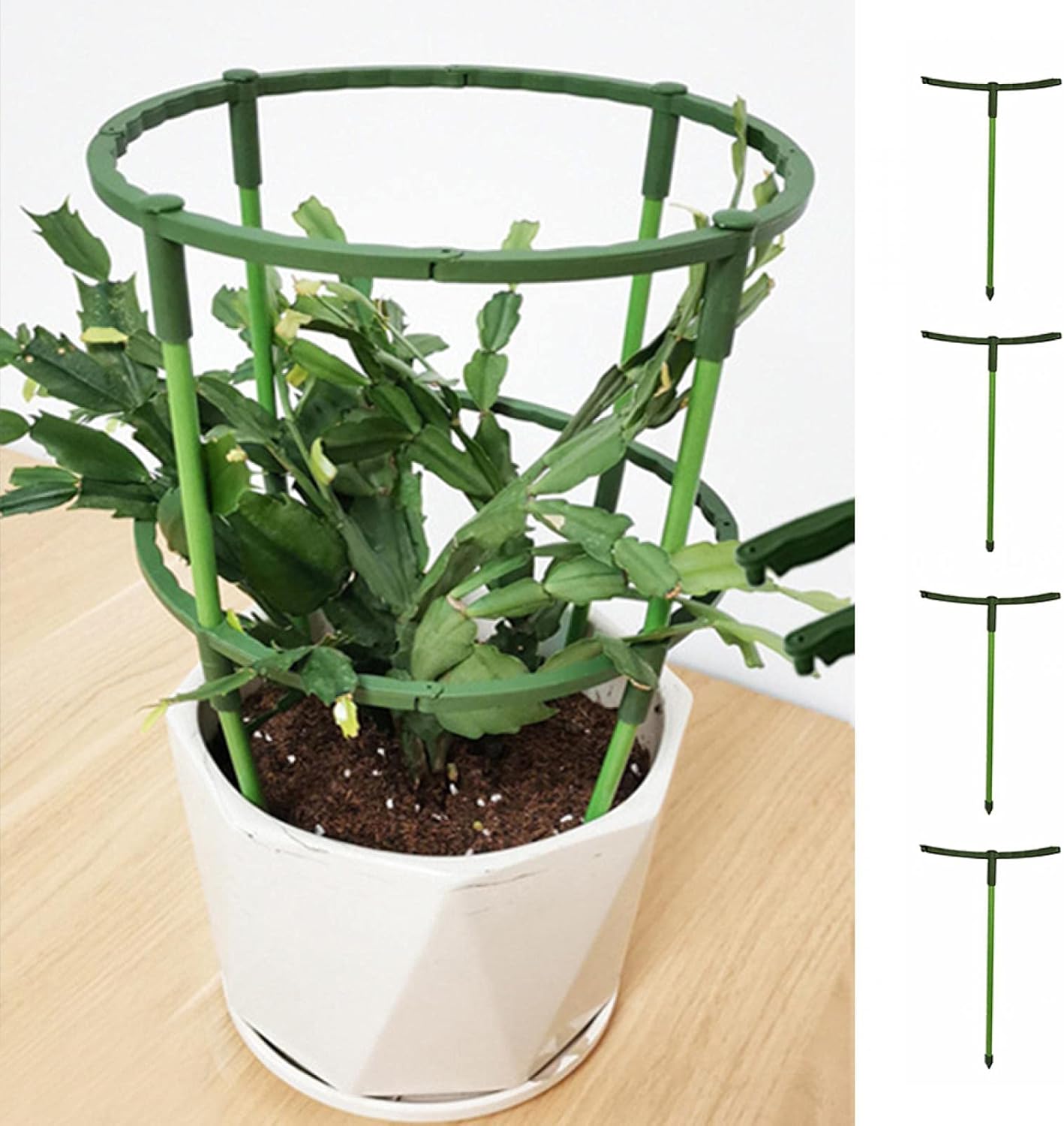 Amazon.com: Plant Support Plant Stakes, Plant Support Ring Plastic ...