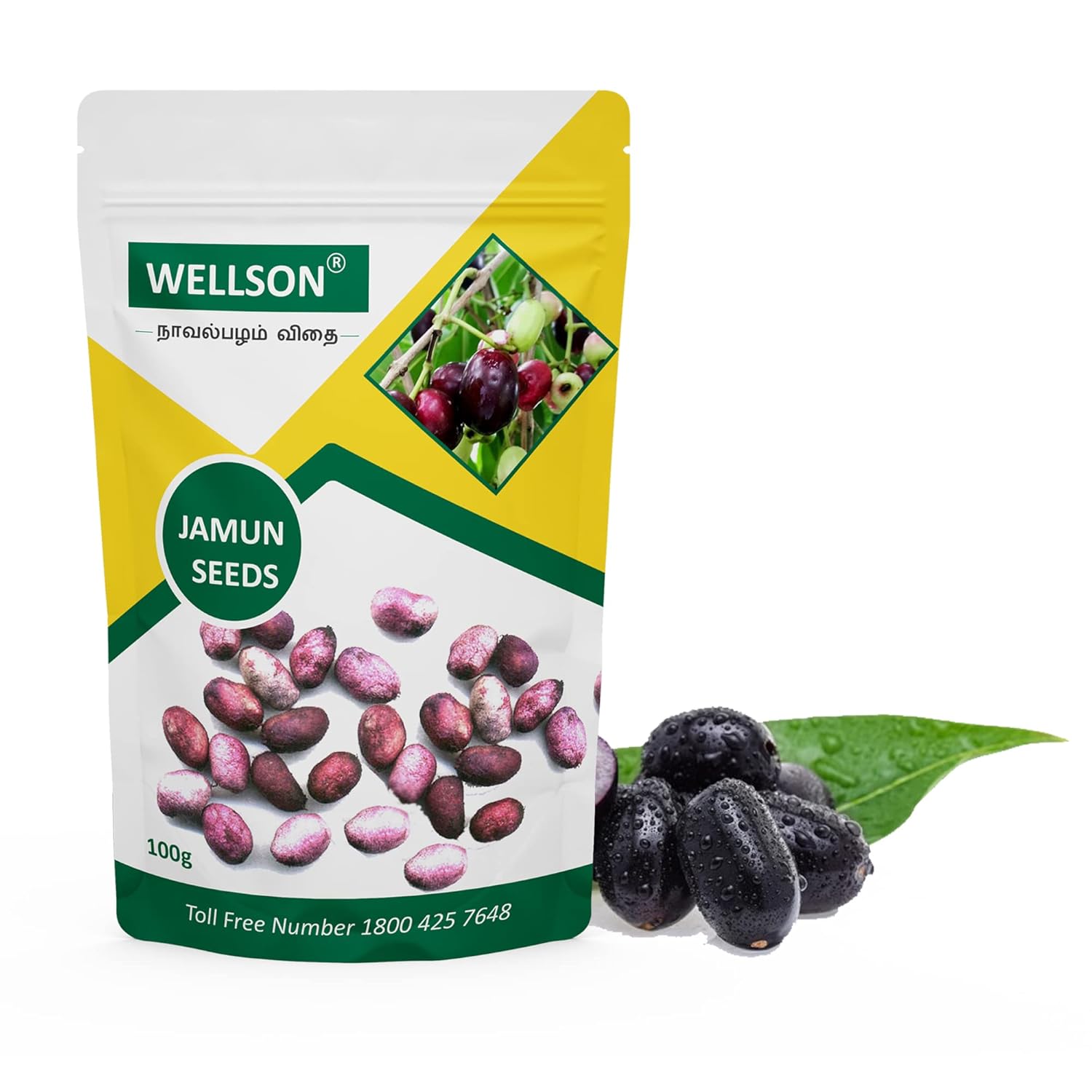 WELLSON Jamun Seeds - Naval Palam Seeds Nausena Paalam/Jamun Seeds ...
