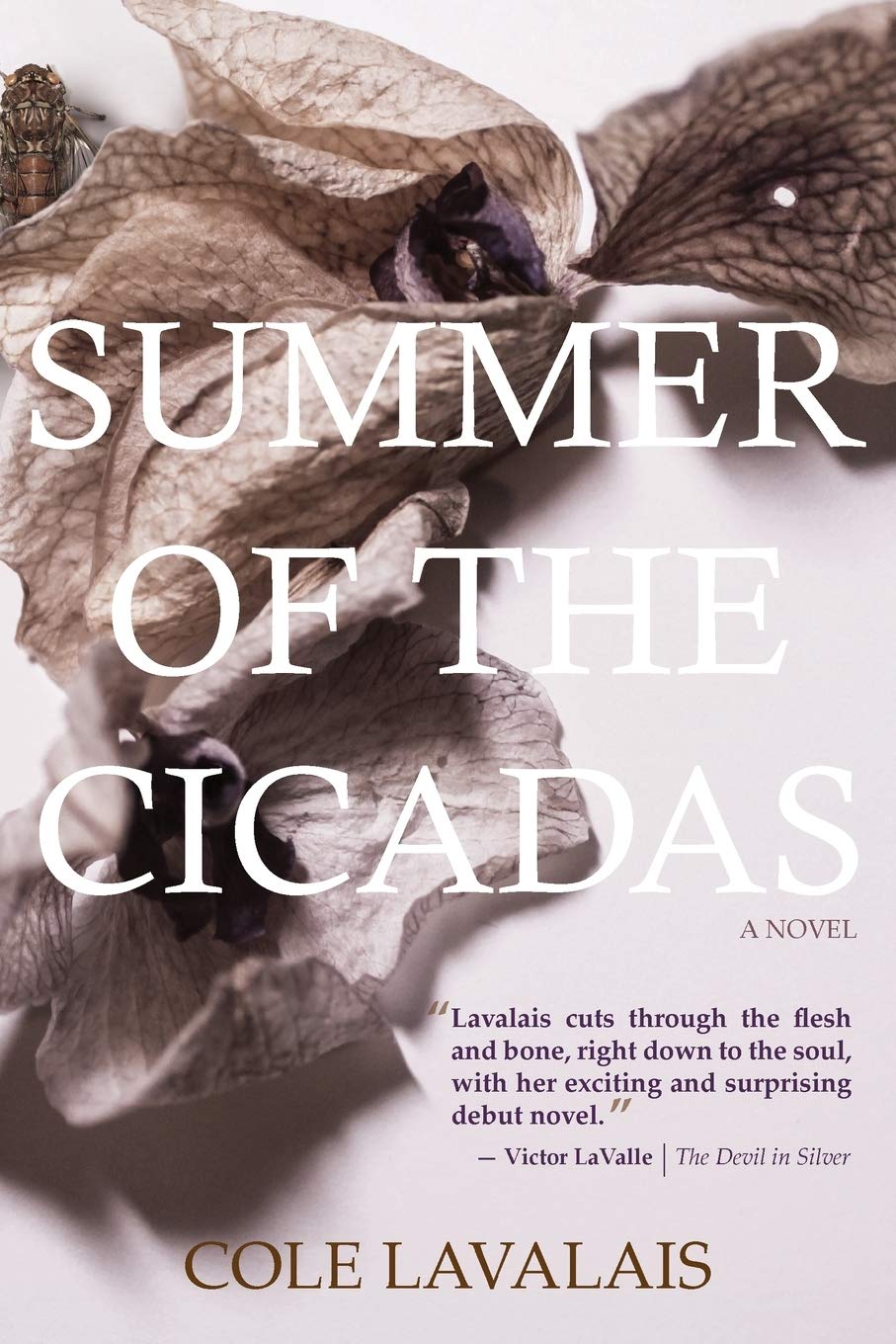 Amazon.com: Summer of the Cicadas: 9780996139045: Lavalais, Cole: Books