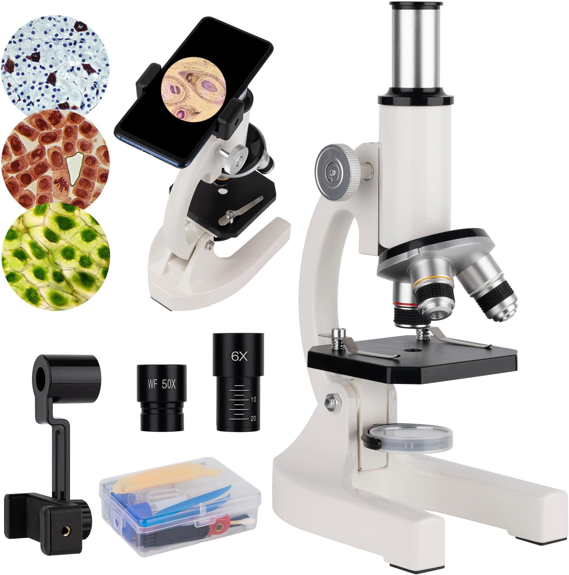 Microscope, 200x-5000x Compound Biological Microscopes With Microscope ...