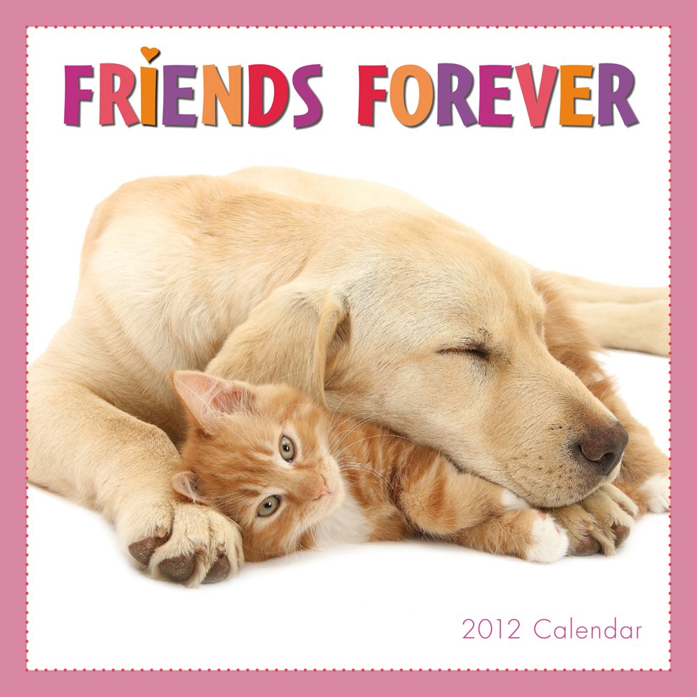 Friends Forever 2012 Mini (calendar): Warren Photographic ...
