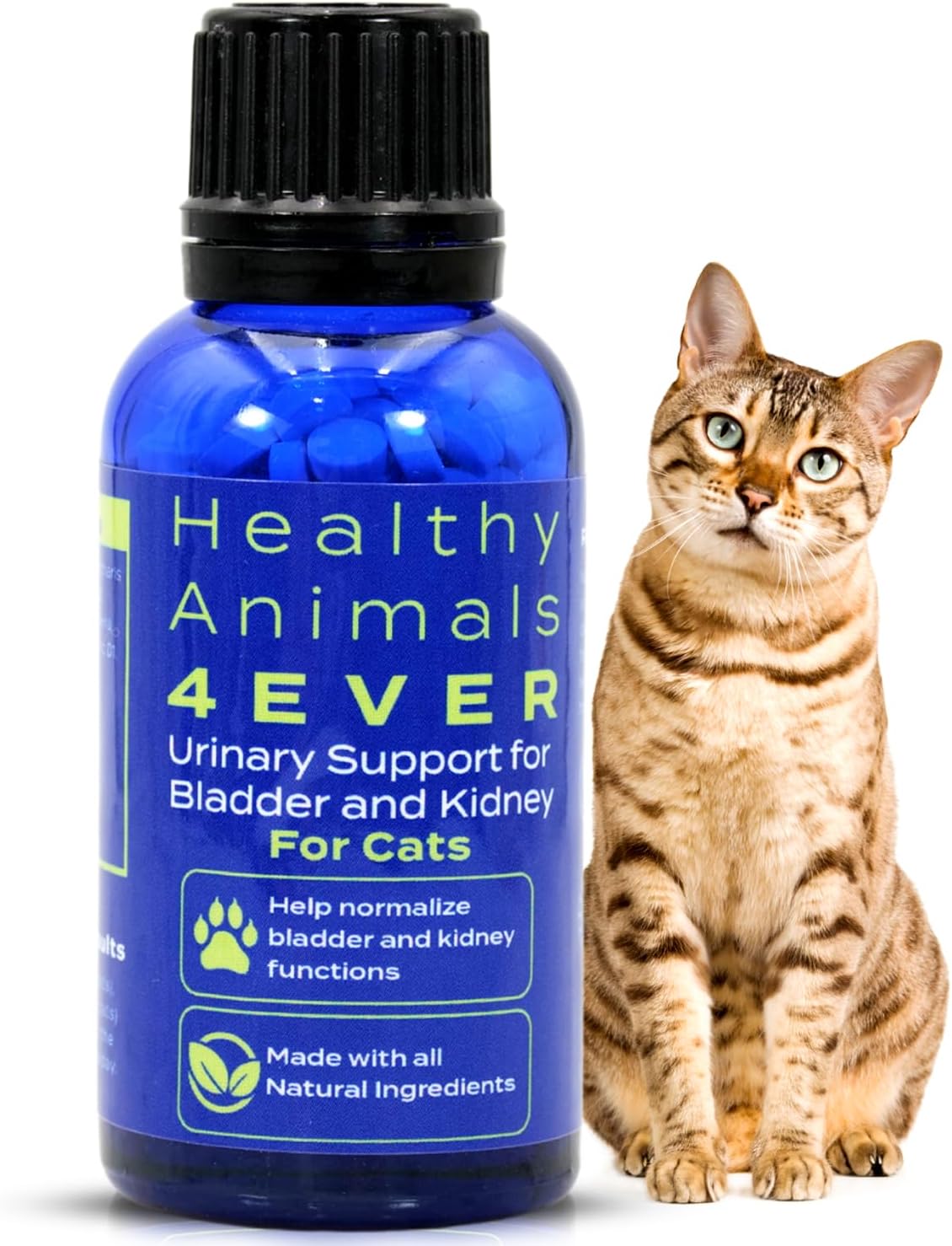 Amazon.com : Healthy Animals 4 Ever Urinary Support for Bladder and ...