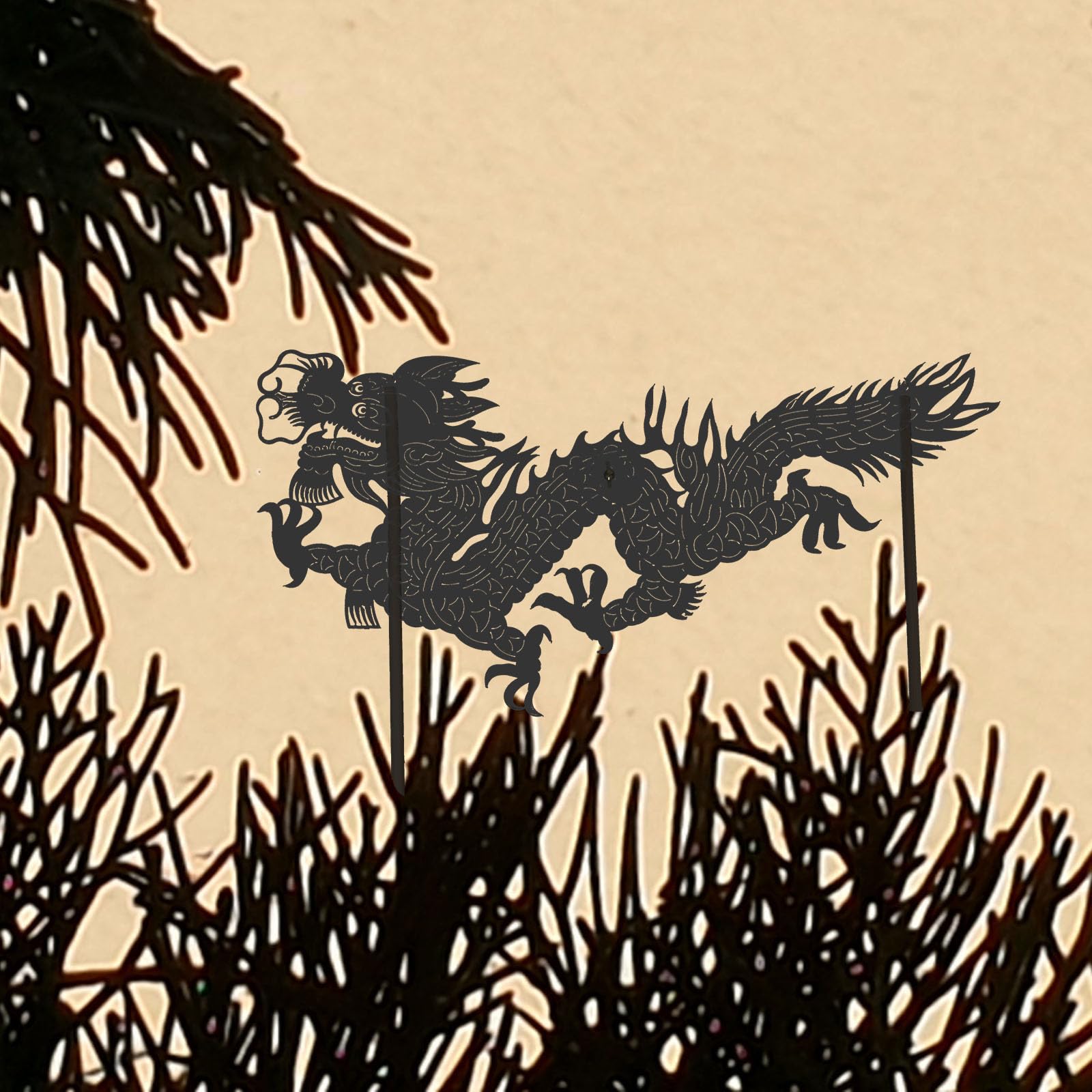 Chinese New Year Shadow