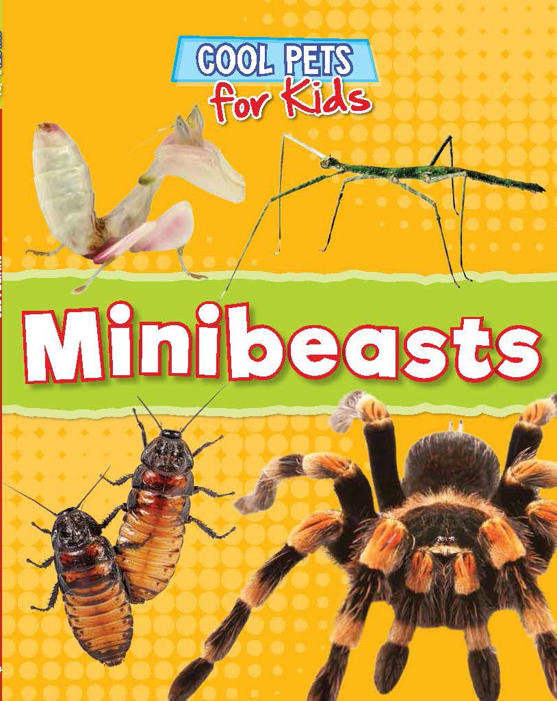 MINIBEASTS (COOL PETS FOR KIDS) : Amazon.in: Books