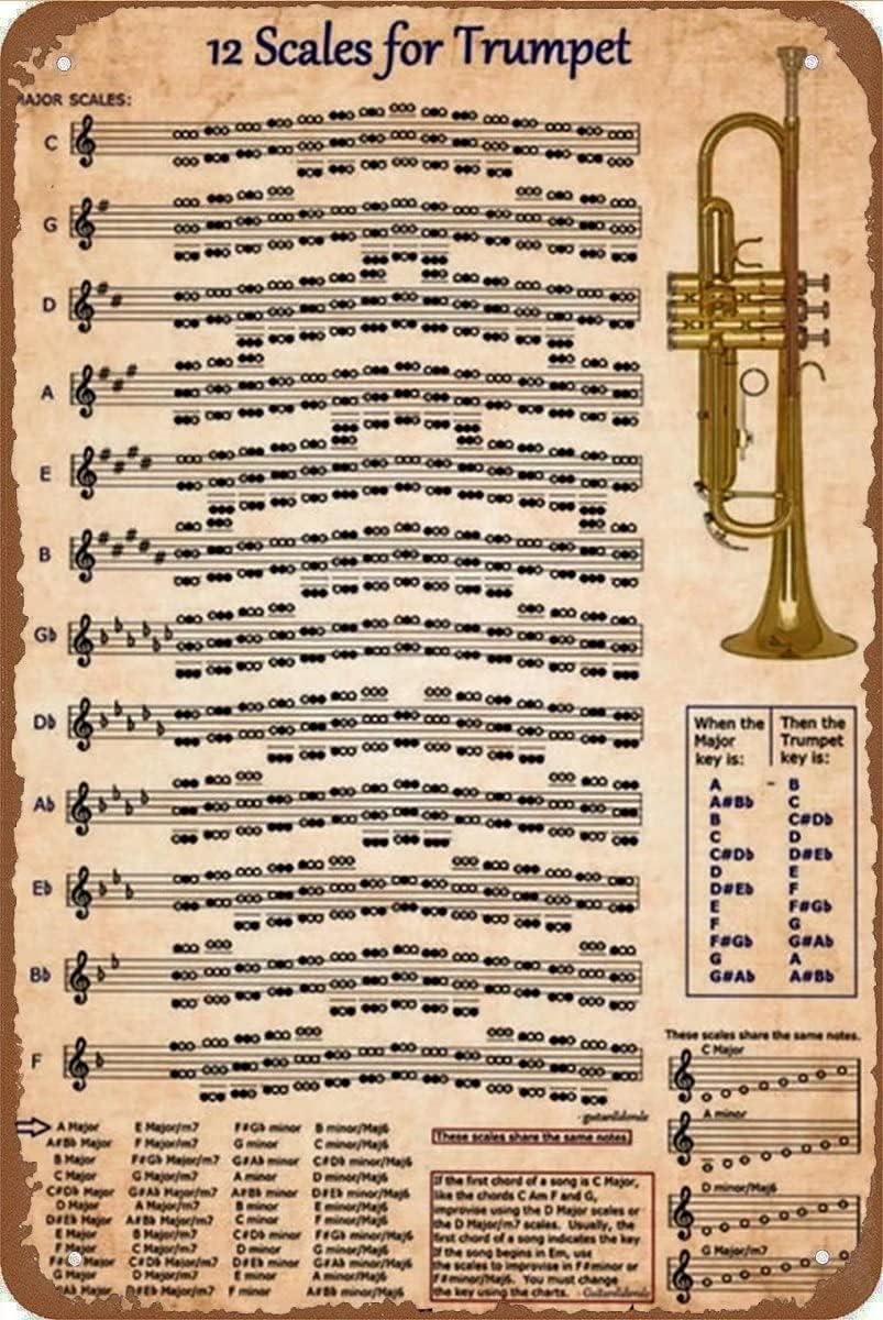 Amazon.com: Trumpet Knowledge Metal Sign Vintage Music Room Decor 12 ...