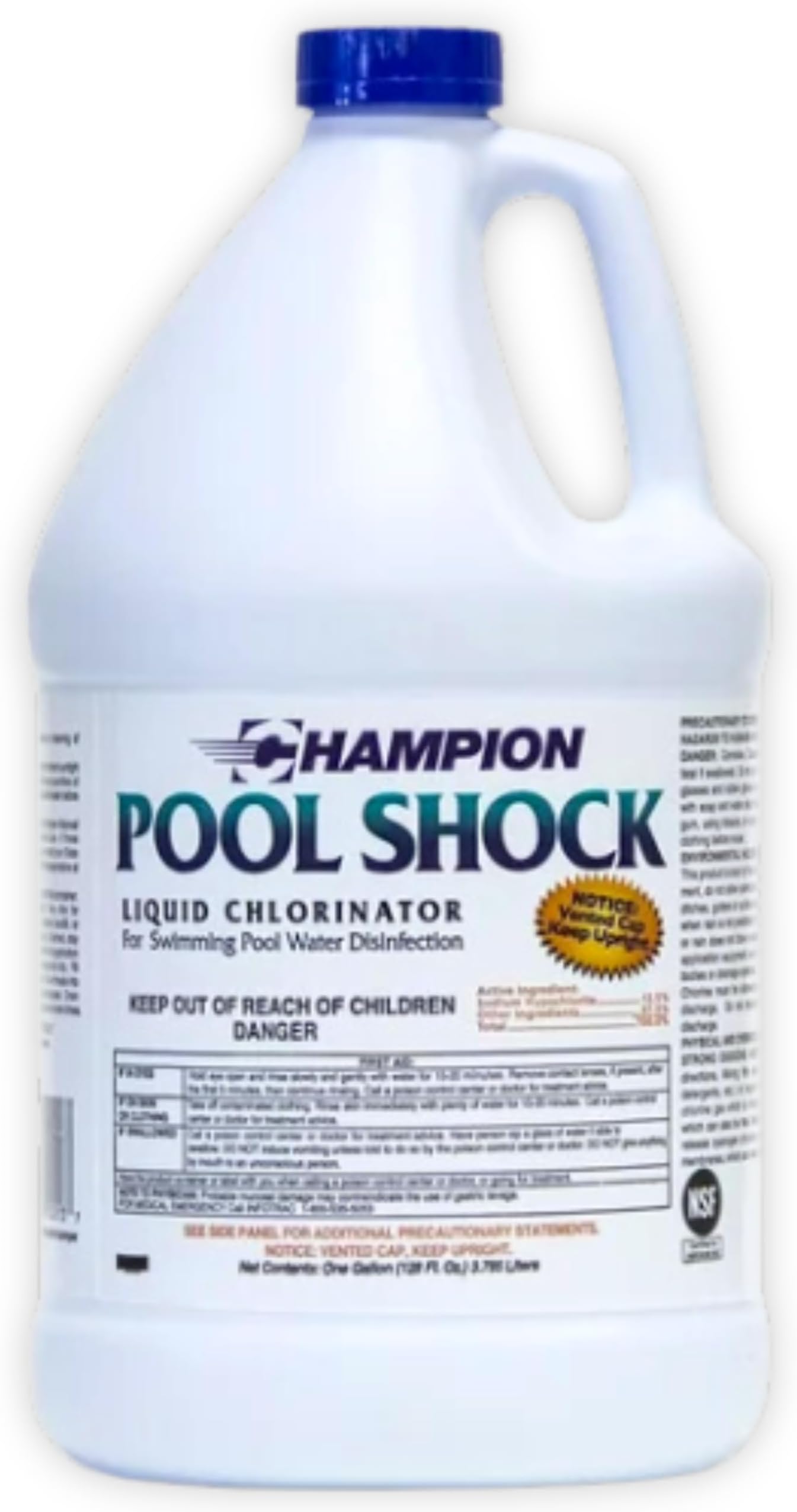 Amazon.com : Champion Liquid Chlorine (1-Pack) - Swimming Pool & Spa ...