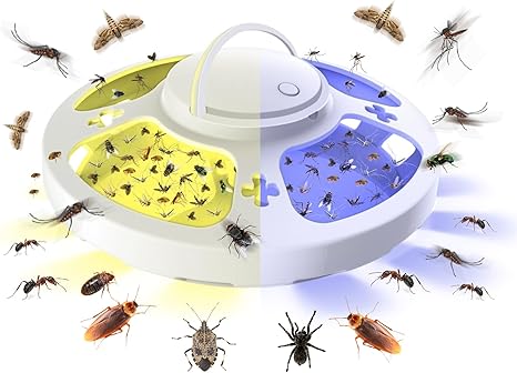 Amazon.com : Frogoom Flea Trap for Inside Your Home with 3 Sticky Pads ...