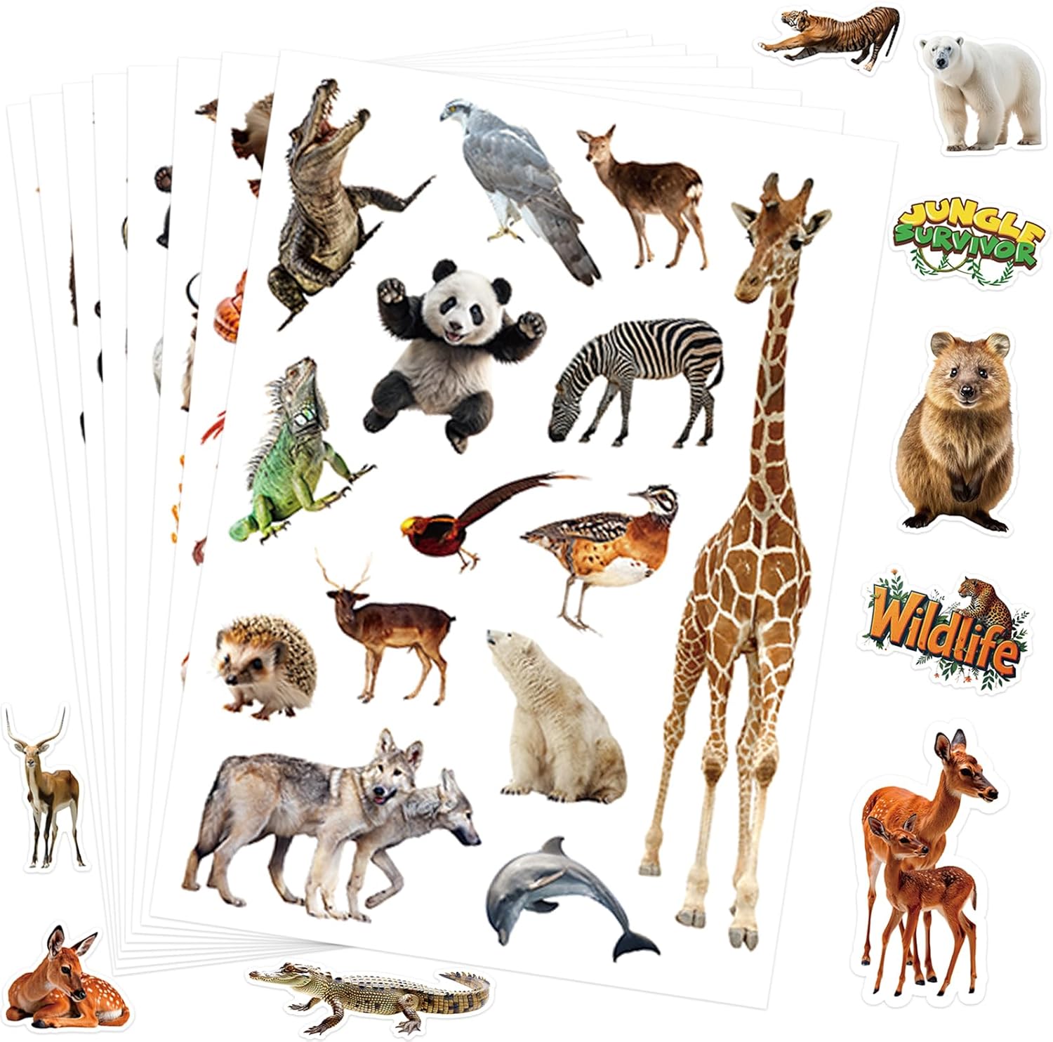 Amazon.com: 312Pcs Jungle Animal Stickers, Realistic Safari Animal ...