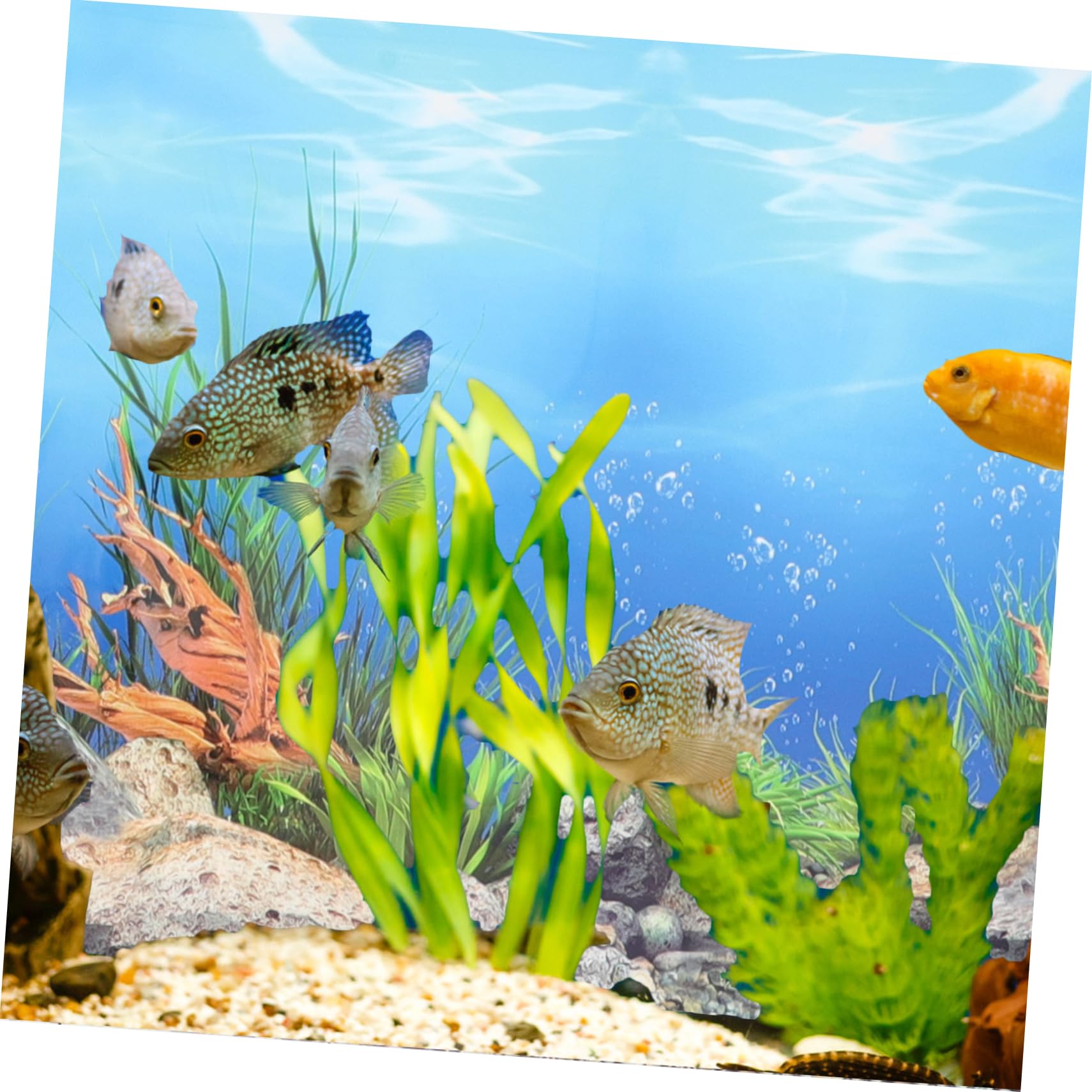 Custom Fish Aquarium Clings Aims Studio Black 3D Aquarium Backgrounds,