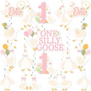 Amazon.com: One Silly Goose 1st Birthday Party Decoration Silly Goose ...