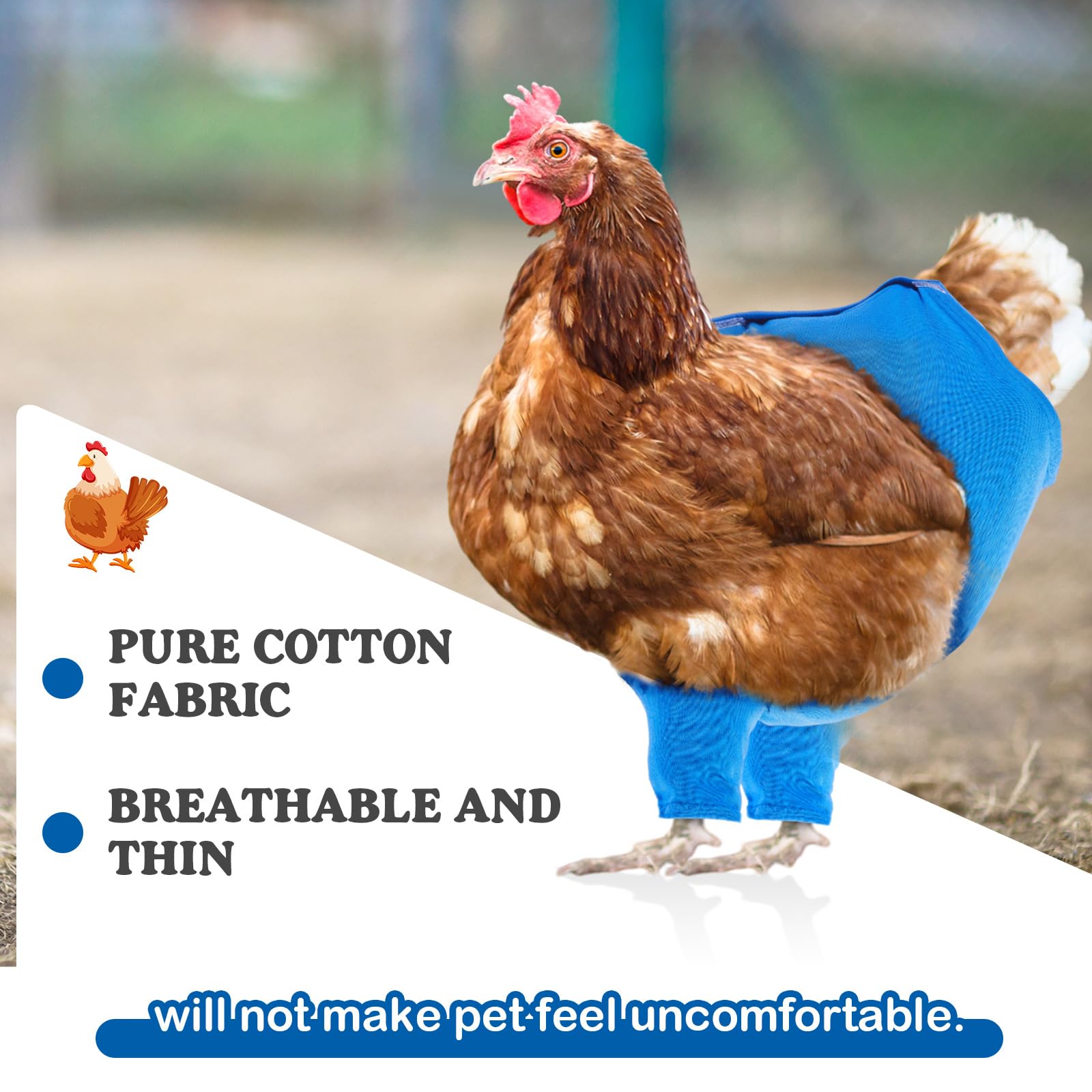 Can Chickens Wear Clothes