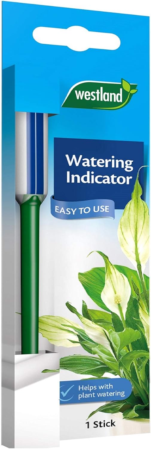 Westland When to Water Plant Watering Indicator : Amazon.co.uk: Garden