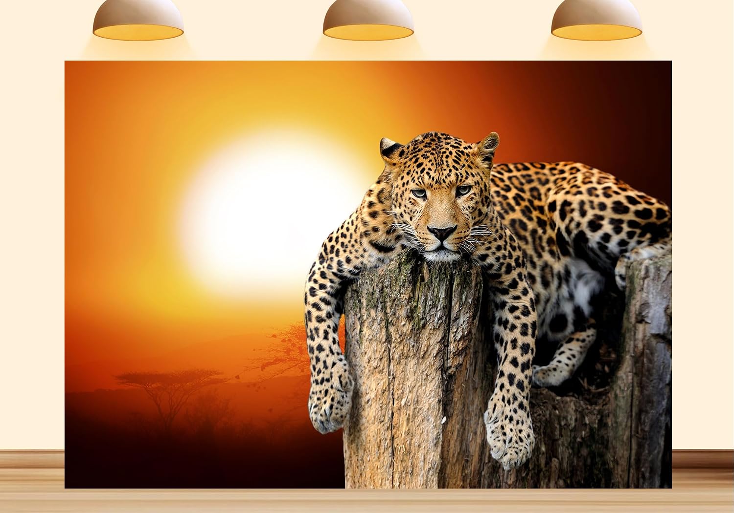 Amazon.com : 6X4ft Fabric African Leopard Backdrop African Wild Leopard ...