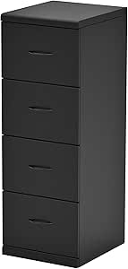 Amazon.com: Z-Line Designs 4-Drawer Black Vertical File Cabinet ...