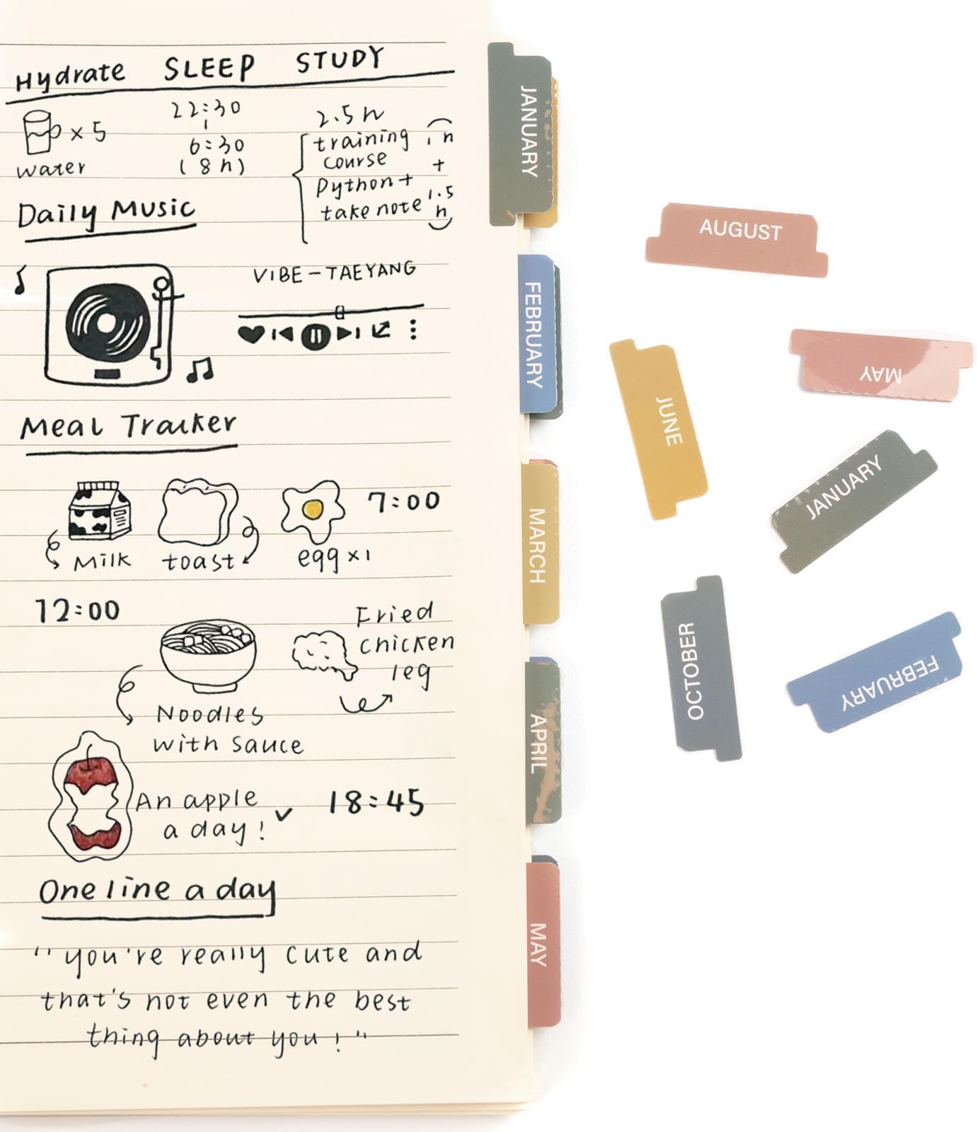 Amazon.com : Outus 24 Pieces Monthly Tabs for Planner Monthly Calendar ...