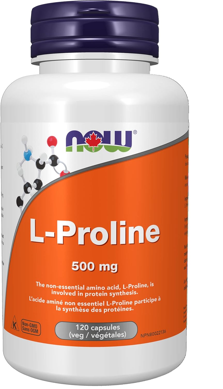 NOW L-Proline Veg Capsules, 500mg, 120 Count : Amazon.ca: Health ...