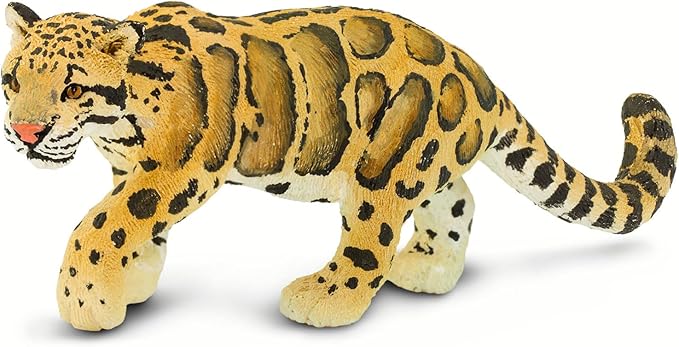 Amazon.com: Safari Ltd. Clouded Leopard Figurine - Realistic 5" Big Cat ...