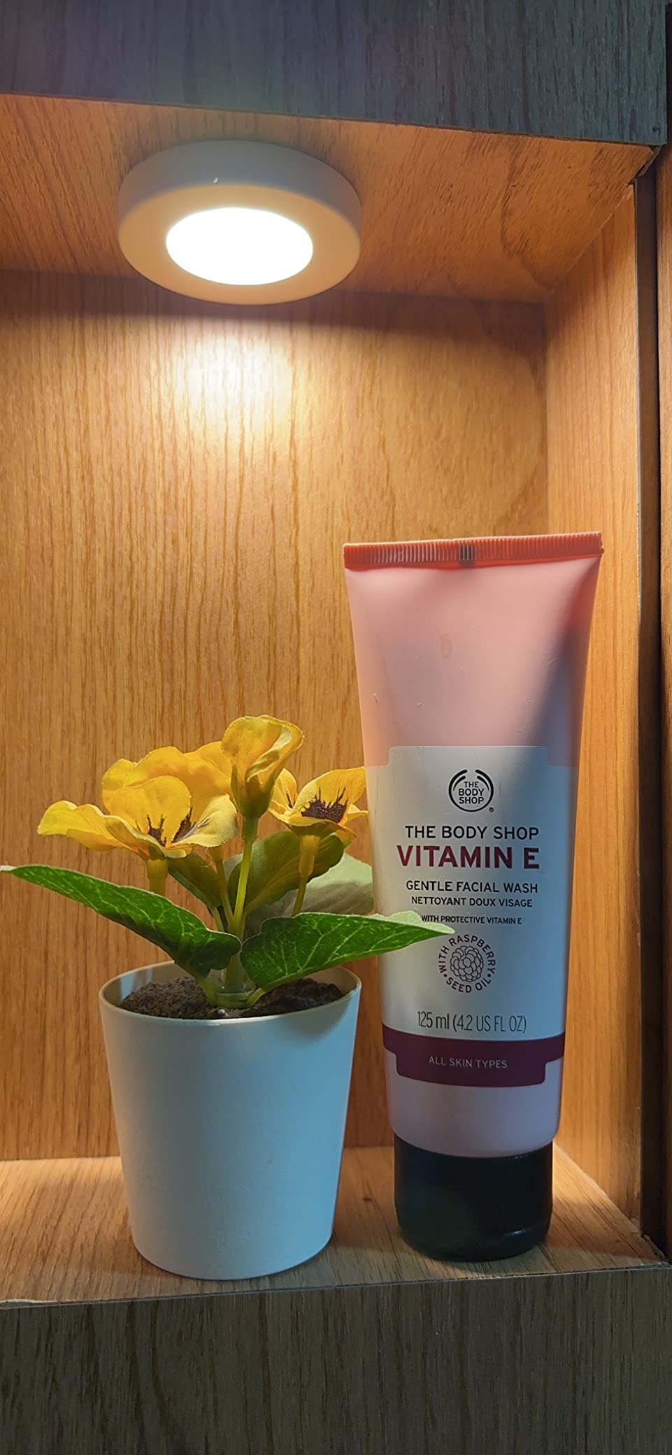 The Body Shop Vitain E Gentle Facial Wash for all Skin Types 125 ml ...
