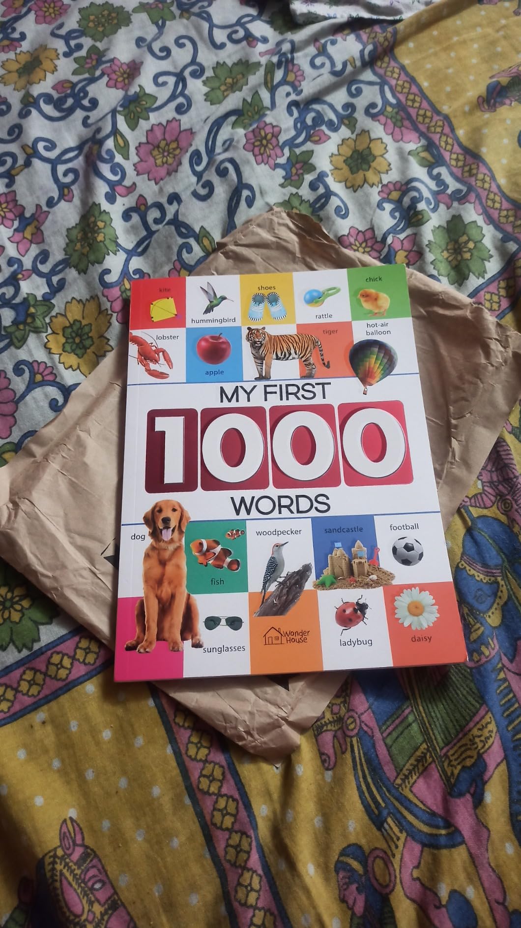 My First 1000 Words: Early Learning Picture Book eBook : Wonder House ...