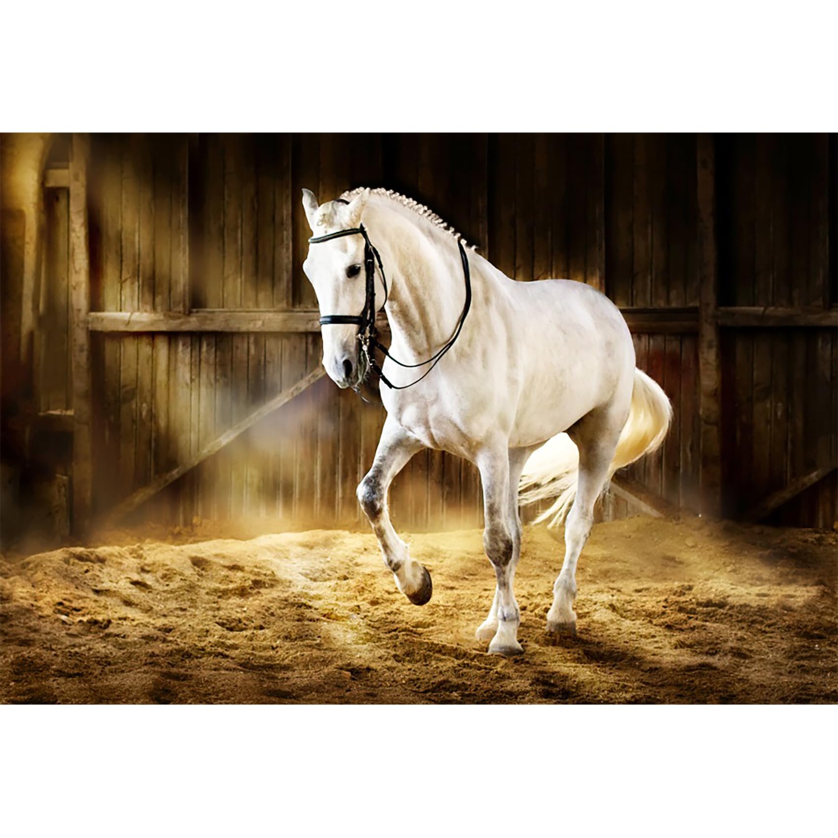 Amazon.com: Baocicco White Horse Stable Backdrop 10x8ft Photography ...