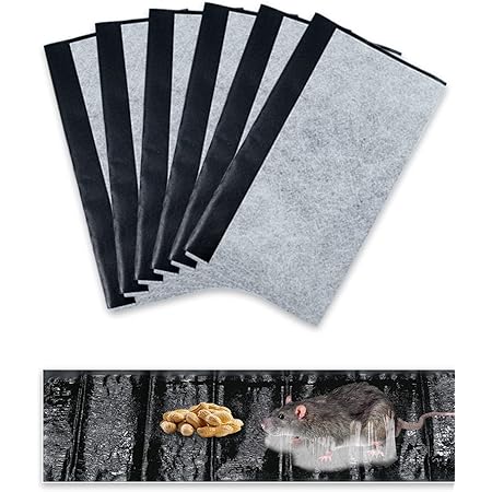 Amazon.com : Sticky Mouse Trap Mouse Glue Traps Sticky Rat Trap That ...