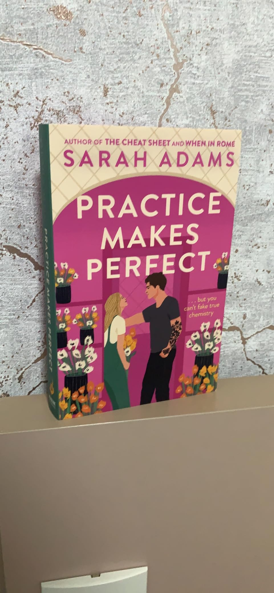 Practice Makes Perfect: A Novel | Amazon.com.br