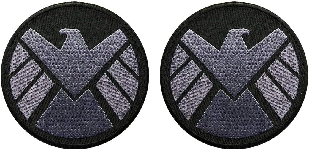 Amazon.com: IRON MAN Homeland Enforcement Shield PATCH (Blue/Black ...