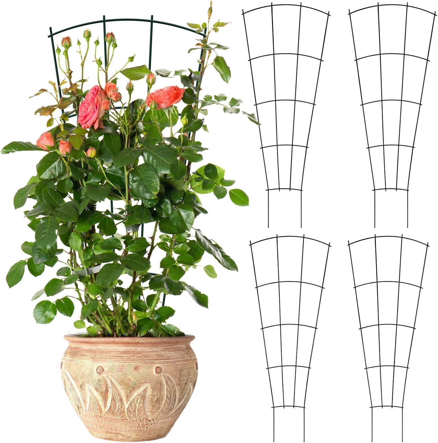 Amazon.com : Sekcen 4 Pack 36” Trellis for Potted Plants Indoor 3Ft Fan ...
