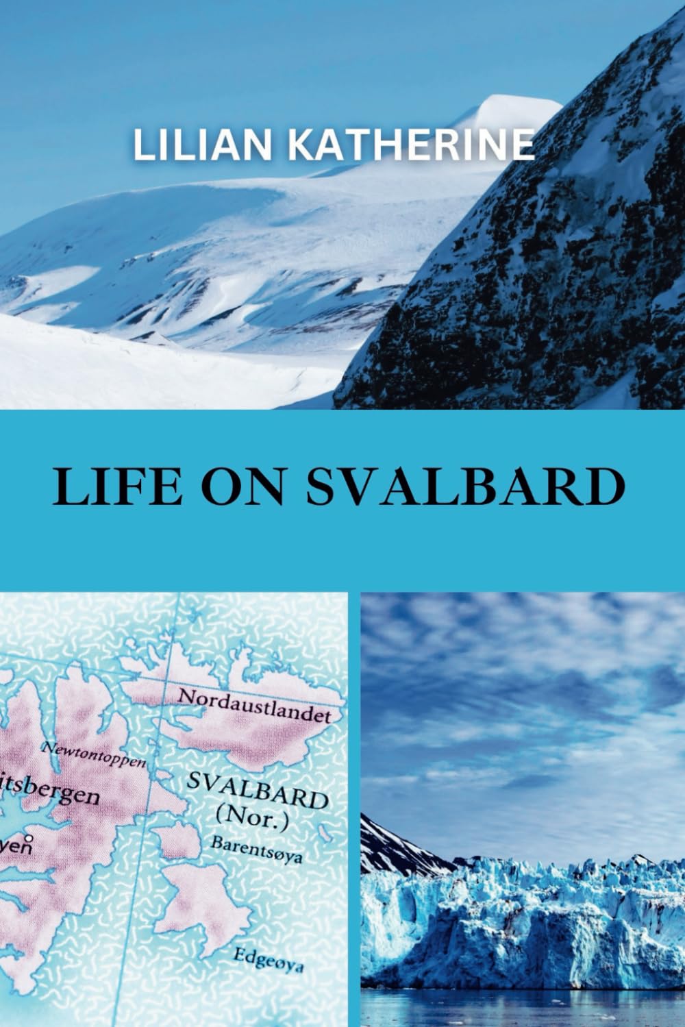LIFE ON SVALBARD: A Deep Dive into the Challenges and Wonders of Living ...