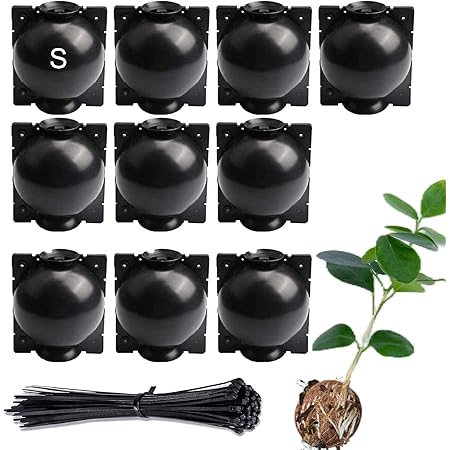 Amazon.com : Markeny Reusable Plant Rooting Ball, Plant Propagation ...