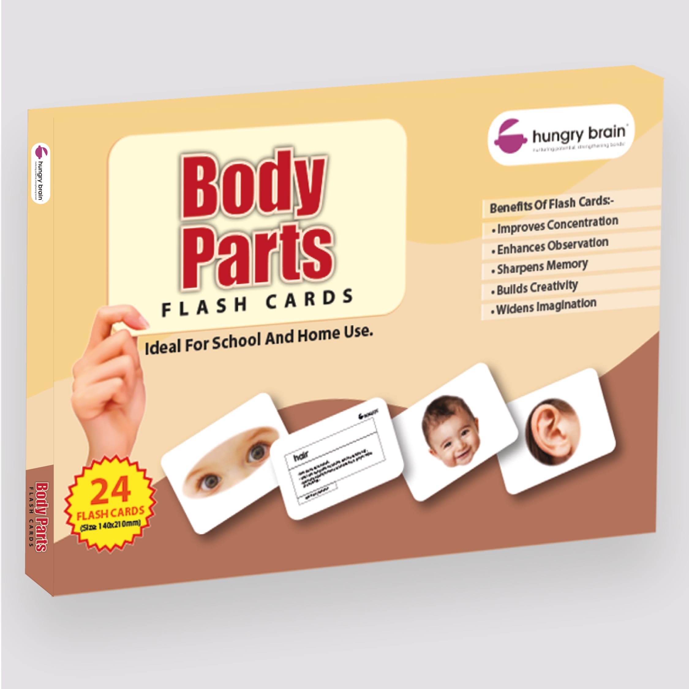 Buy hungry brain Body Parts Premium Brain Boosting Non-Toxic, Double ...