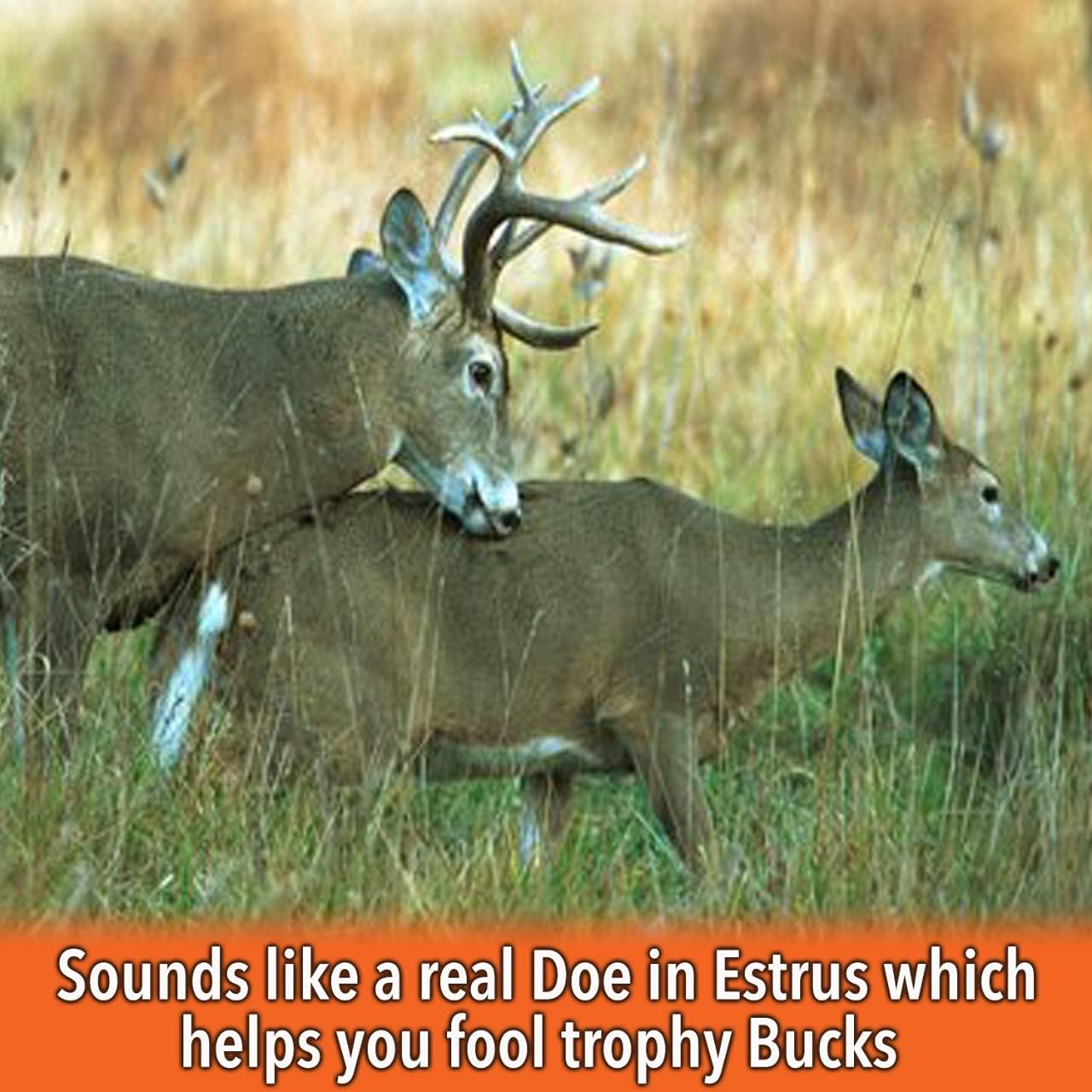 Nationwide Scents Deer Grunt Call and Rattle Bag Combo - Durable, All ...