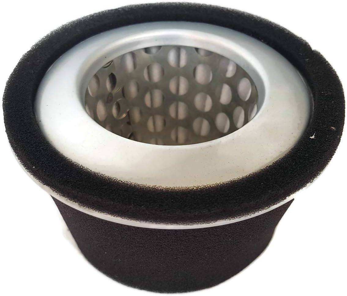 Amazon.com : RA Air Filter Combo for Subaru Robin EH17, EY20, WI-185 ...