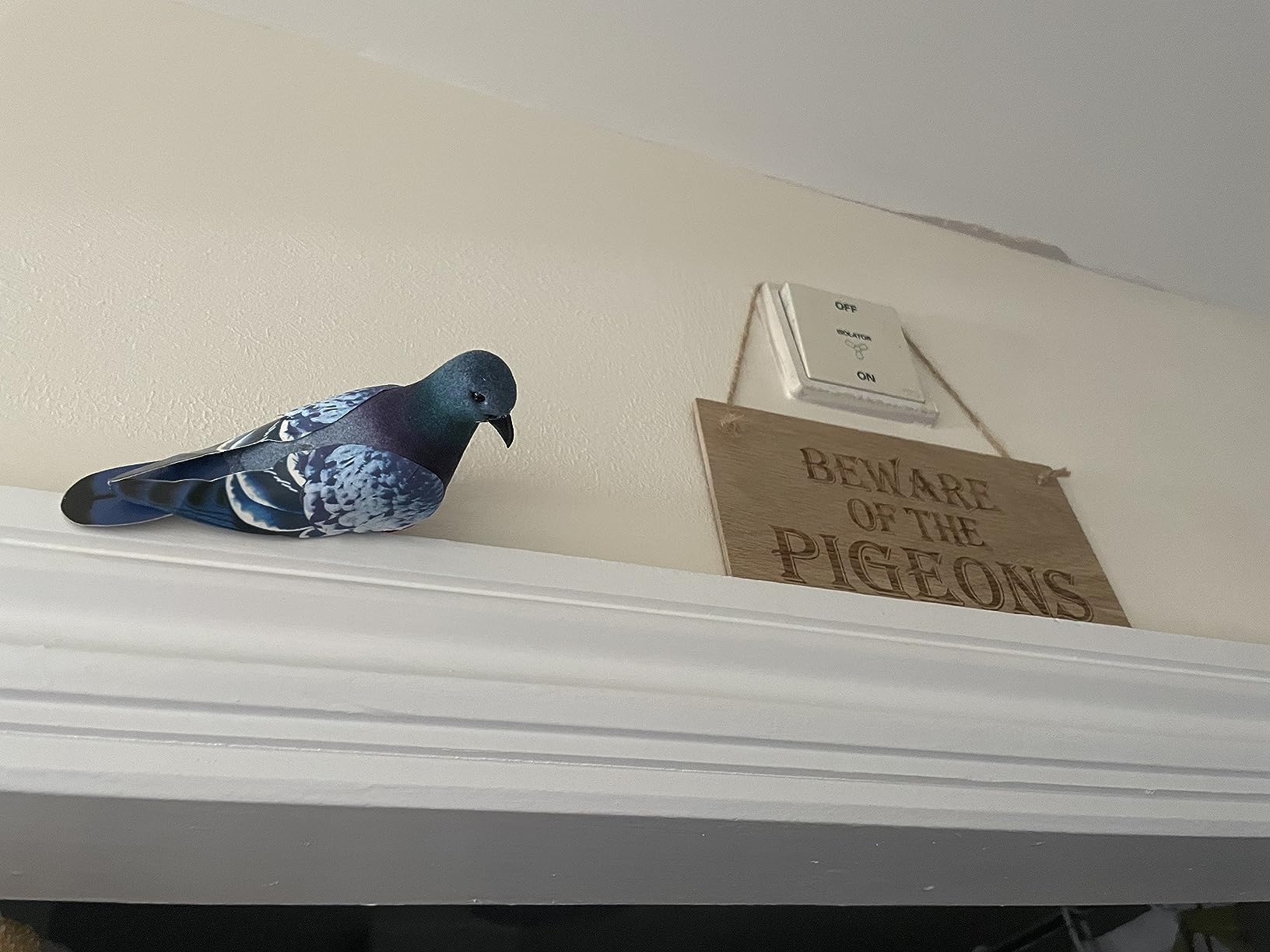 RED OCEAN Beware Of The Pigeons Novelty Wooden Hanging Shabby Chic ...